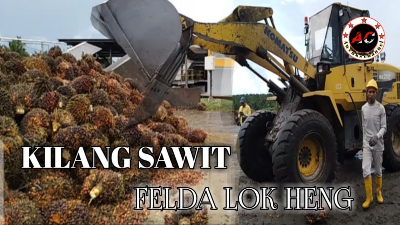 KILANG KELAPA SAWIT FELDA LOK HENG - YouTube