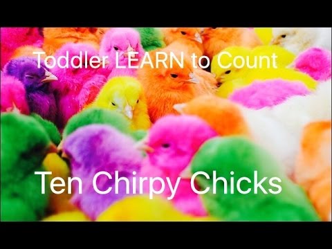 Story Time Early Learning Counting Ten Chirpy Chicks Toddler Book ...