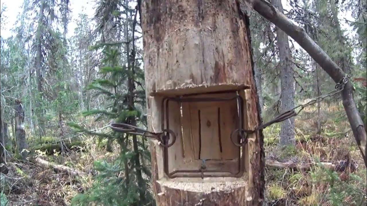 80 дней в тайге. Пушной промысел. Видеодневник. Часть 4 - YouTube