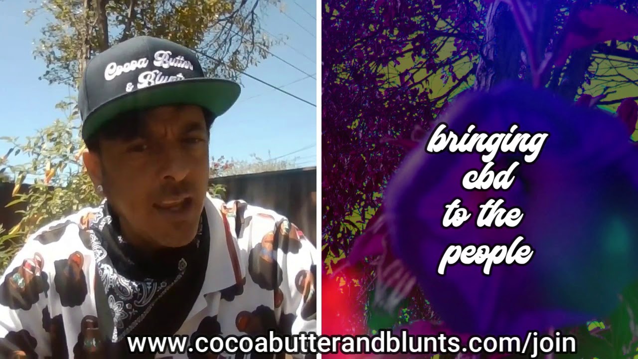 Cocoa Butter and Blunts - Who we Are - YouTube