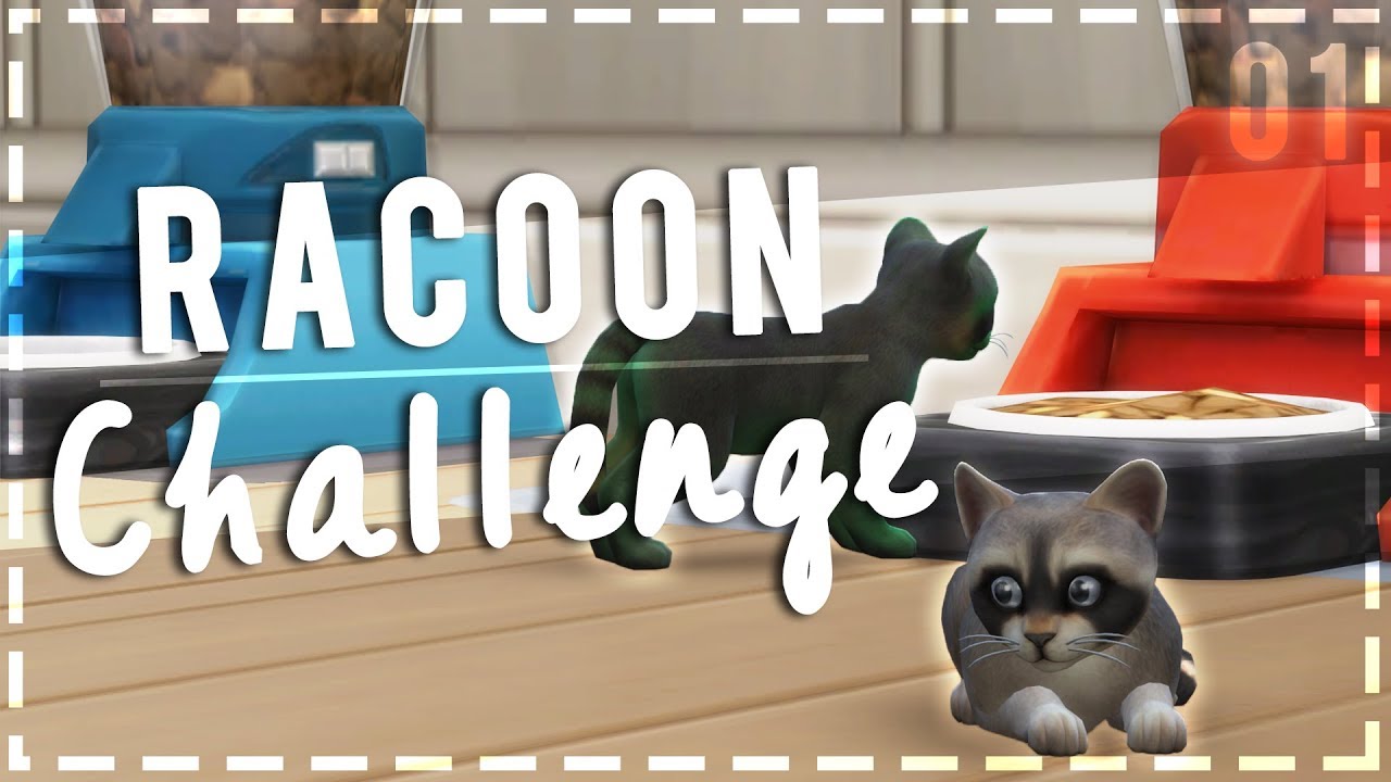 The Sims 4 Racoon Challenge // Getting Started [01] | Mousie - YouTube