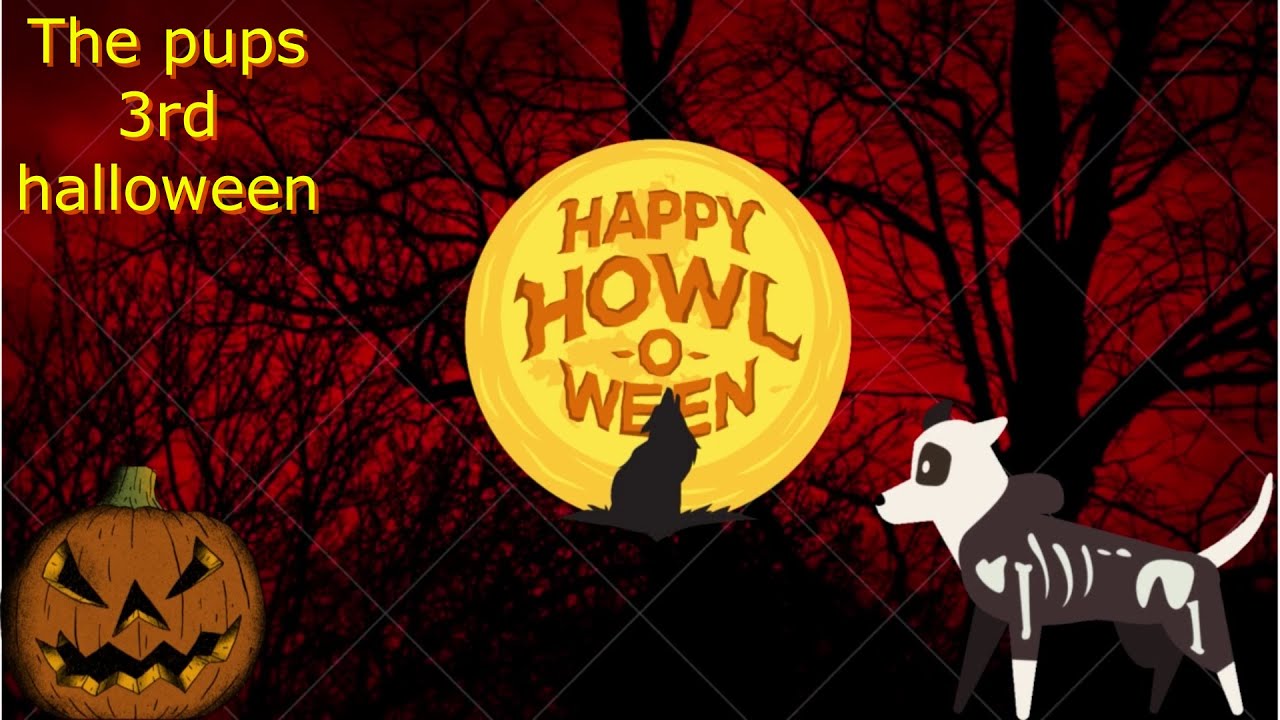 HAPPY HOWL-O-WEEN - YouTube
