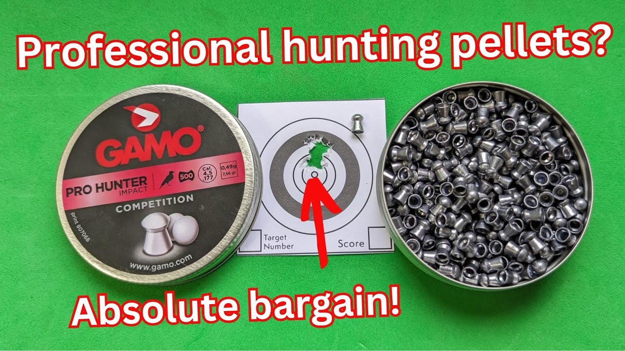 The best budget pellet? Accuracy testing the GAMO PRO HUNTER impact ...