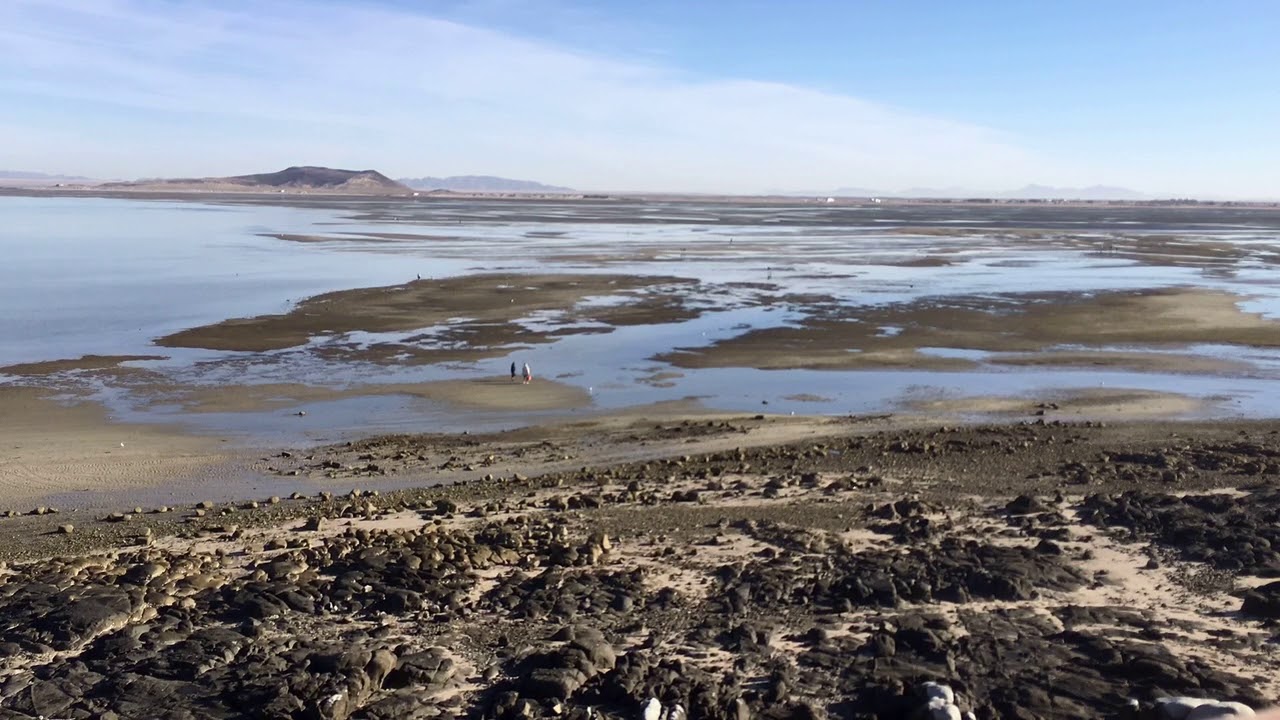 Cholla Bay incoming tide - YouTube