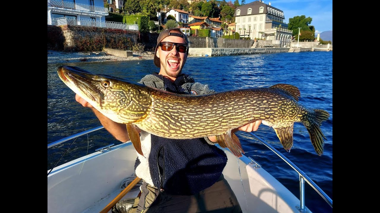 Pescata epica alla ricerca del GRANDE LUCCIO del lago Maggiore (new PB ...