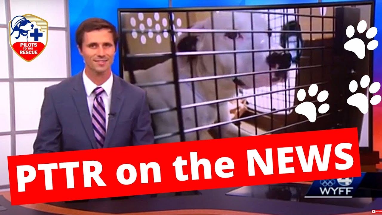 Our rescue missions saving animals are getting lots of media attention ...