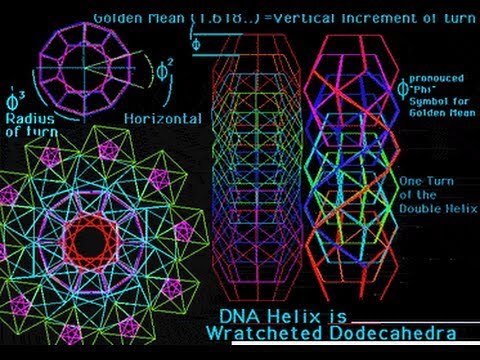MUST WATCH! Fractals, Electric DNA, Phi, Consciousness - YouTube