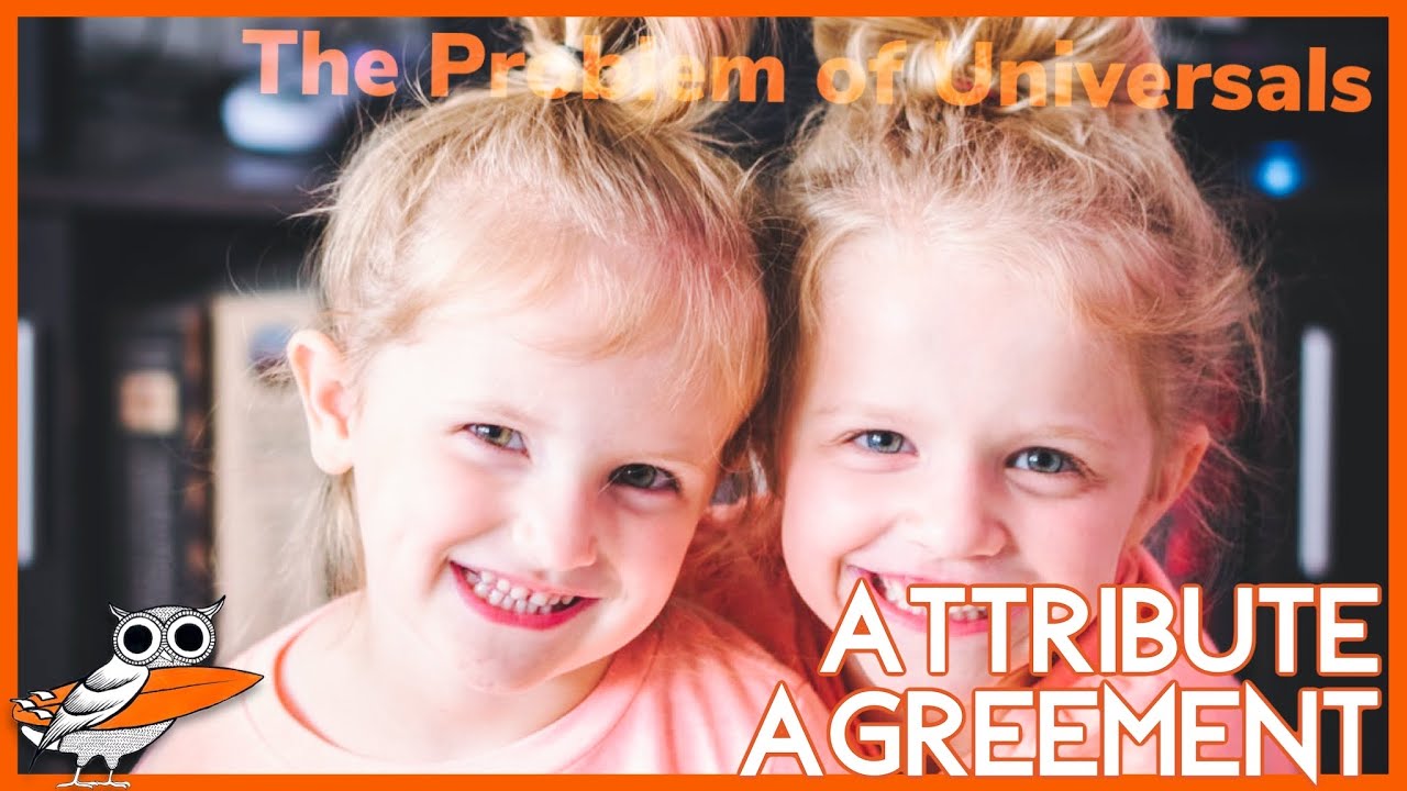 What is attribute agreement? - YouTube