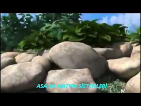 BİRLİKTEN KUVVET DOĞAR
