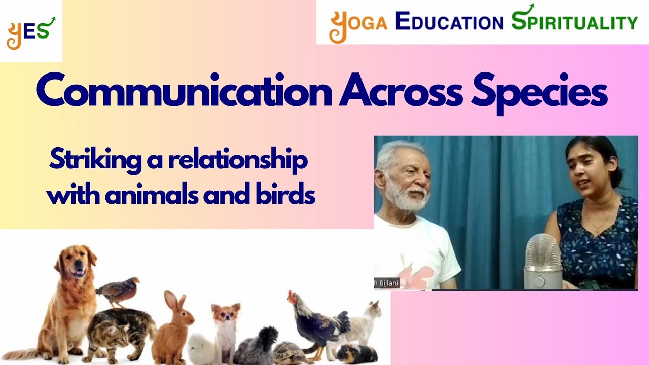 Incredible Nature: Communication Across Species | Striking a ...