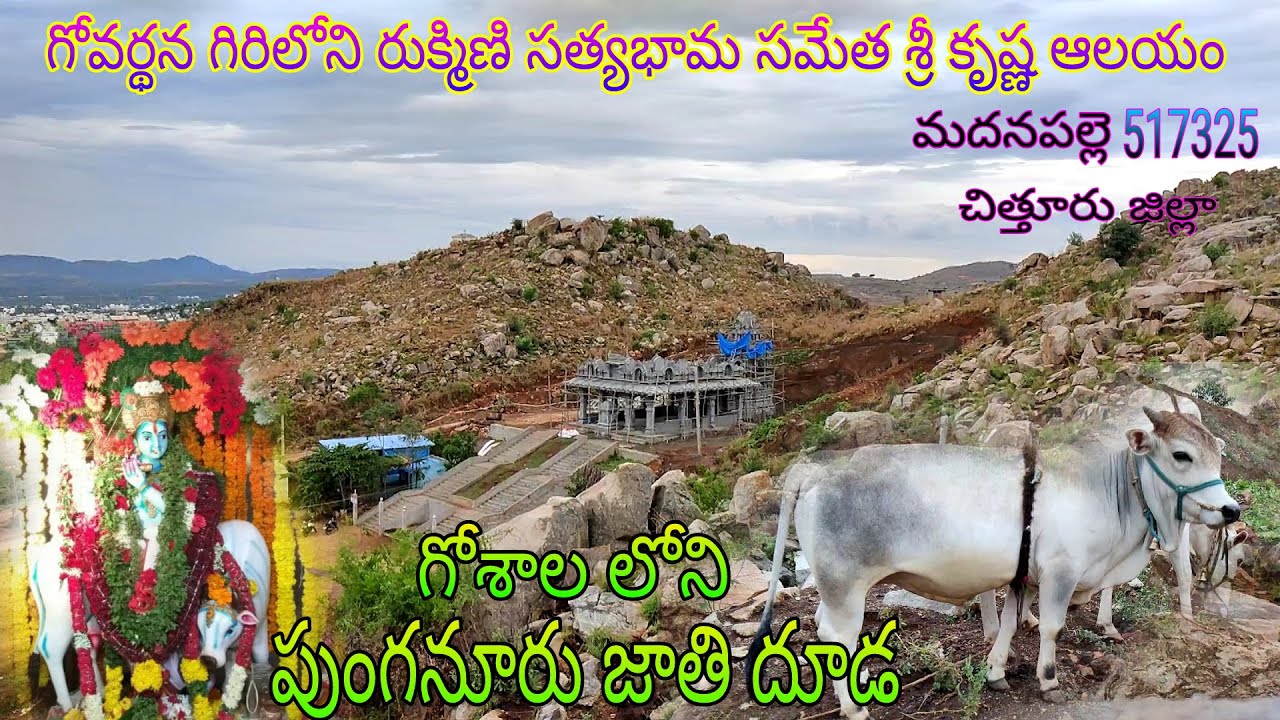 Sri krishna temple madanapalle - YouTube