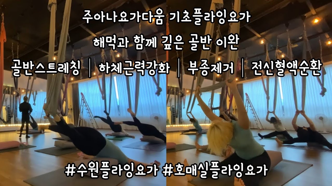주아나요가다움 기초플라잉요가해먹과 함께 깊은 골반 이완골반스트레칭│하체근력강화│부종제거│전신혈액순환수원플라잉요가 호매실플라잉