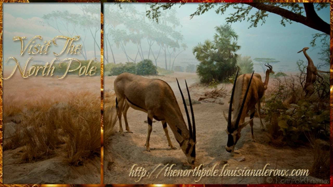 Sing Noel - African Christmas Song (HD) - YouTube