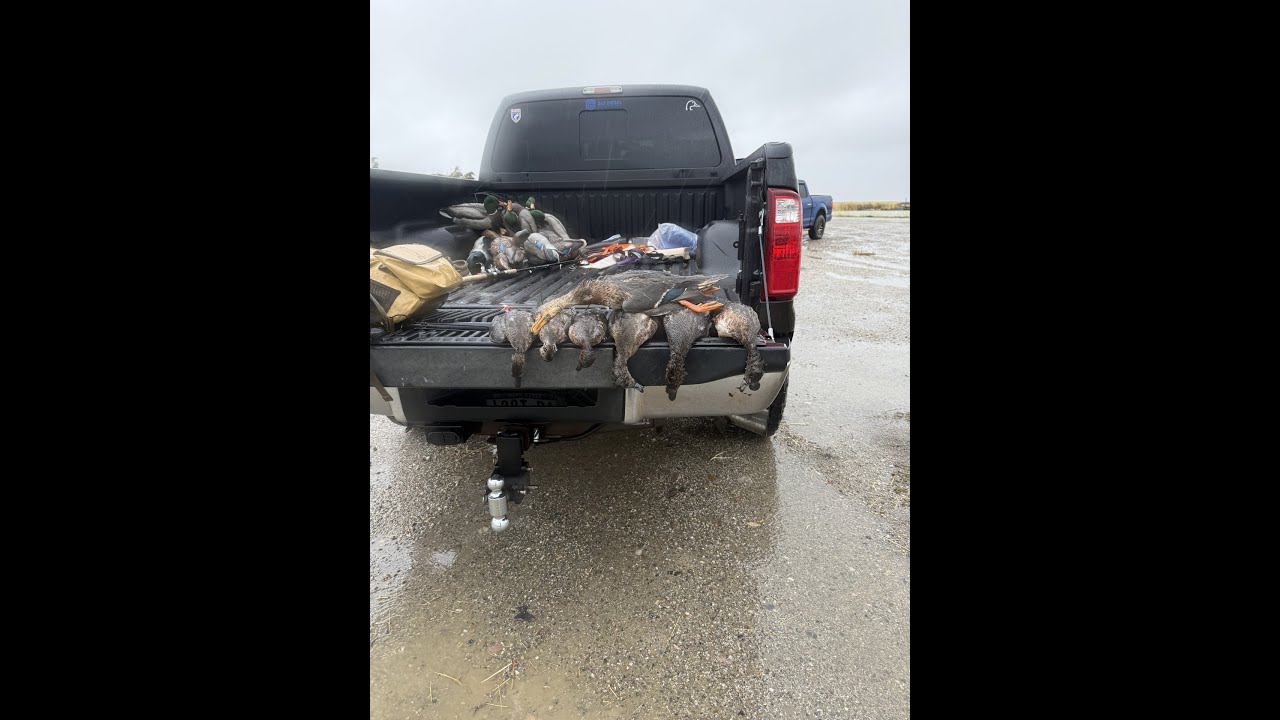 Solo Opening Day Limit - Utah Duck Hunting - YouTube