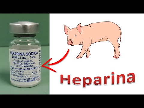 Heparina: sus orígenes y aplicaciones clínicas - YouTube