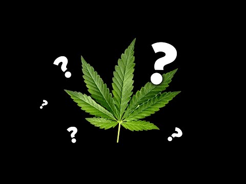 The Problem With Weed…