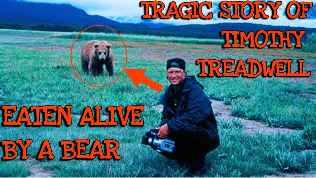 Timothy Treadwell - The Grizzly Man - YouTube