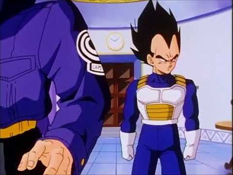 Trunks and Vegeta enter the Hyperbolic Timechamber - YouTube