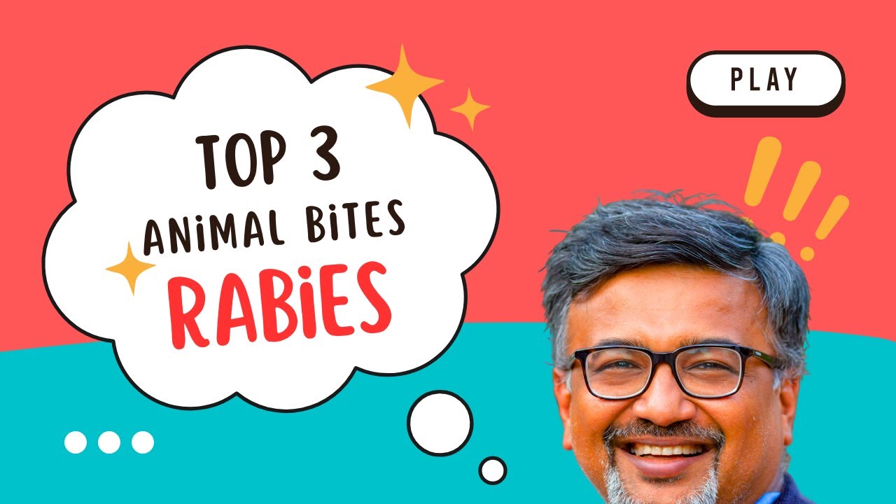 Top 3 Rabies causing Animals in India: Is it Rats, Cats, Bats, Dogs or ...