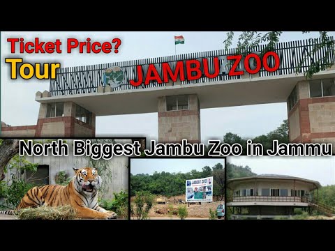 JAMBU ZOO IN JAMMU | Largest Zoo of North India | Leopard | Bears ...