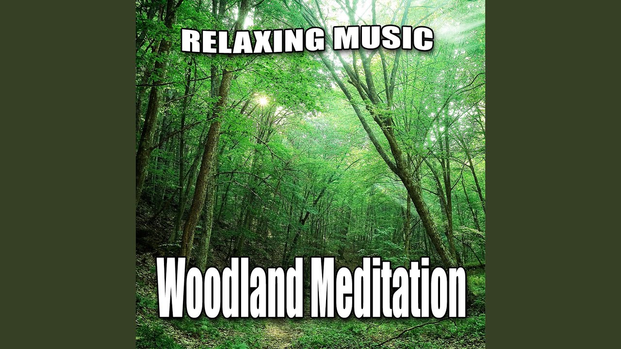 Birdsong Meditation Music With Nature Sound Youtube