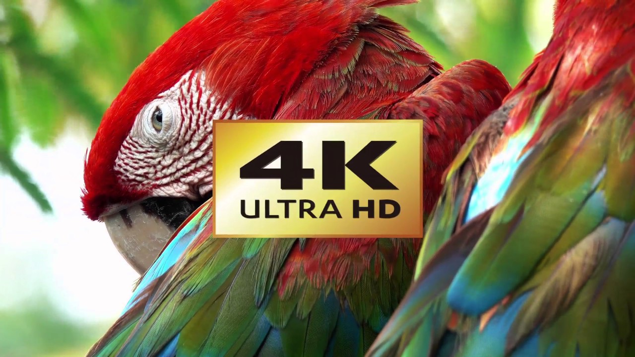 Casio 4K UHD projector promotional video - YouTube