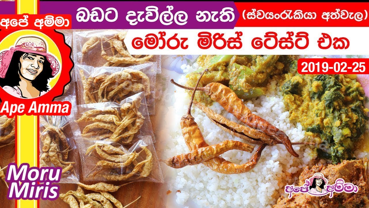 බඩට දැව්ල්ල නැති මෝරු මිරිස් ටේස්ට් එක (ස්වයංරැකියා අත්වැල) Moru Miris ...