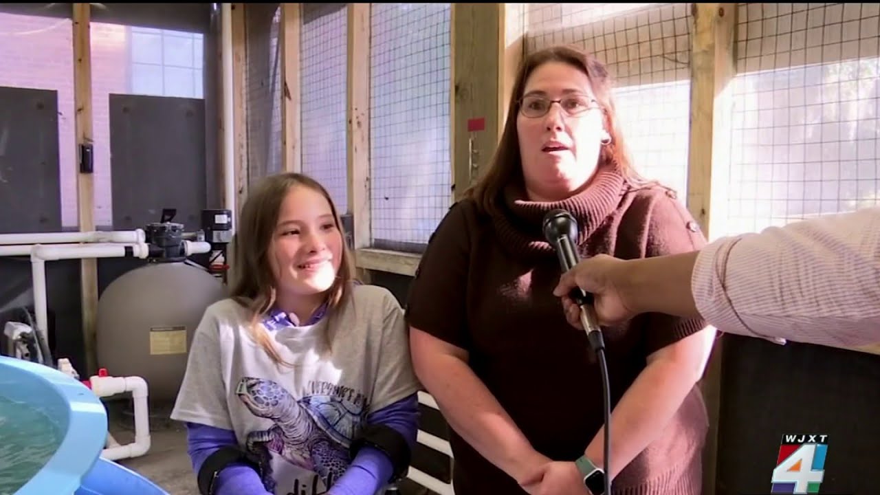 Paralyzed sea turtle ‘steals’ heart of girl with spina bifida in ...