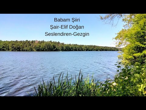Babam Şiiri, Şair Elif Doğan