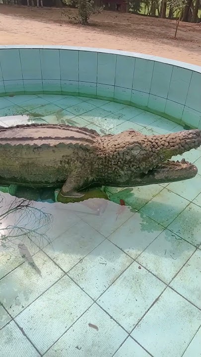 Savar Mini zoo# Rabbit🐇🐹🦨 #Deer🦒🦌#Turtle 🐢🐢 #Travelling #tour - YouTube