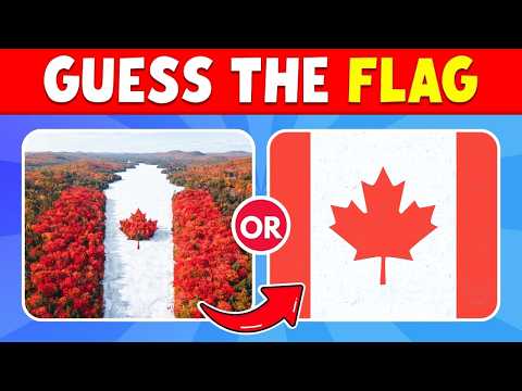 Guess the Hidden Flag by ILLUSION 🧠👀🚩 | World Geography Quiz
