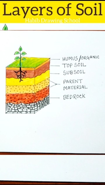 Layers of Soil Drawing #shorts #layersofsoildrawing #drawing - YouTube