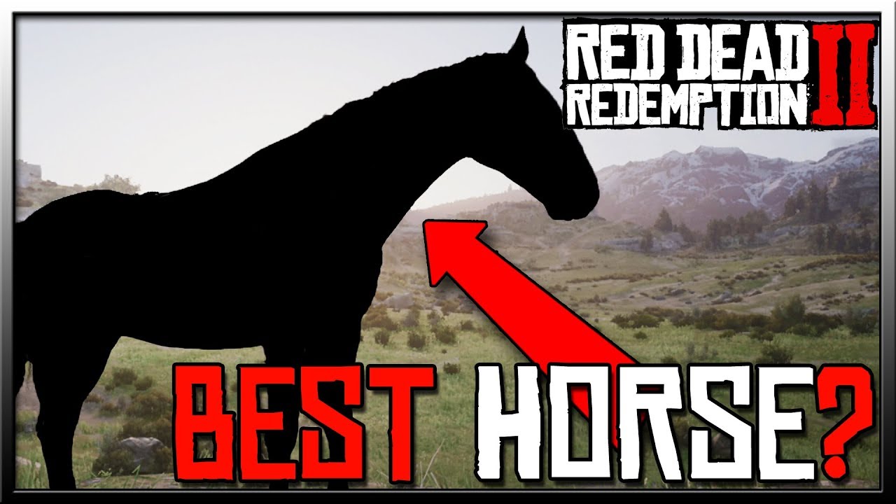 Red Dead Redemption 2 Best Horse and It's Not The Rose Grey Bay Arabian ...