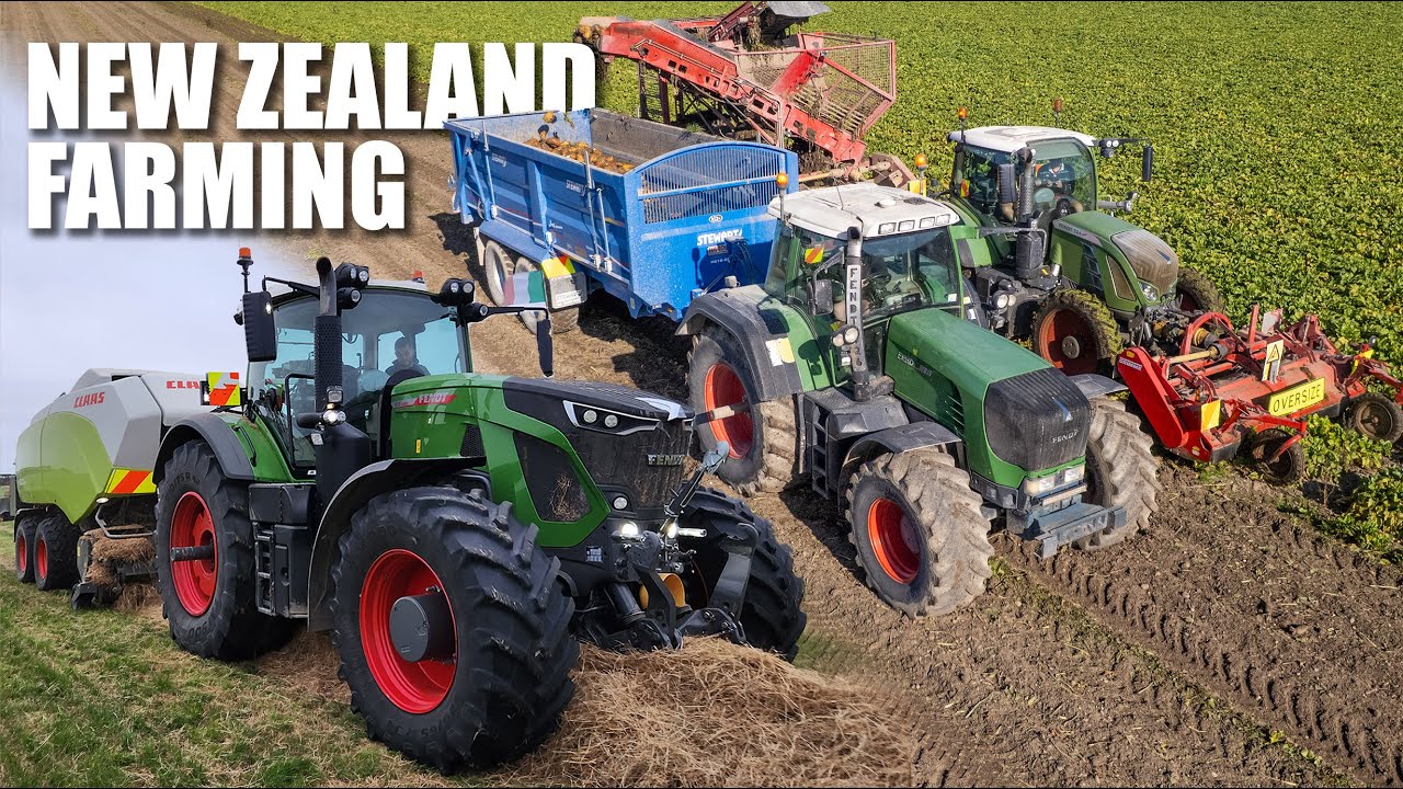 BEST of NEW ZEALAND FARMING - YouTube