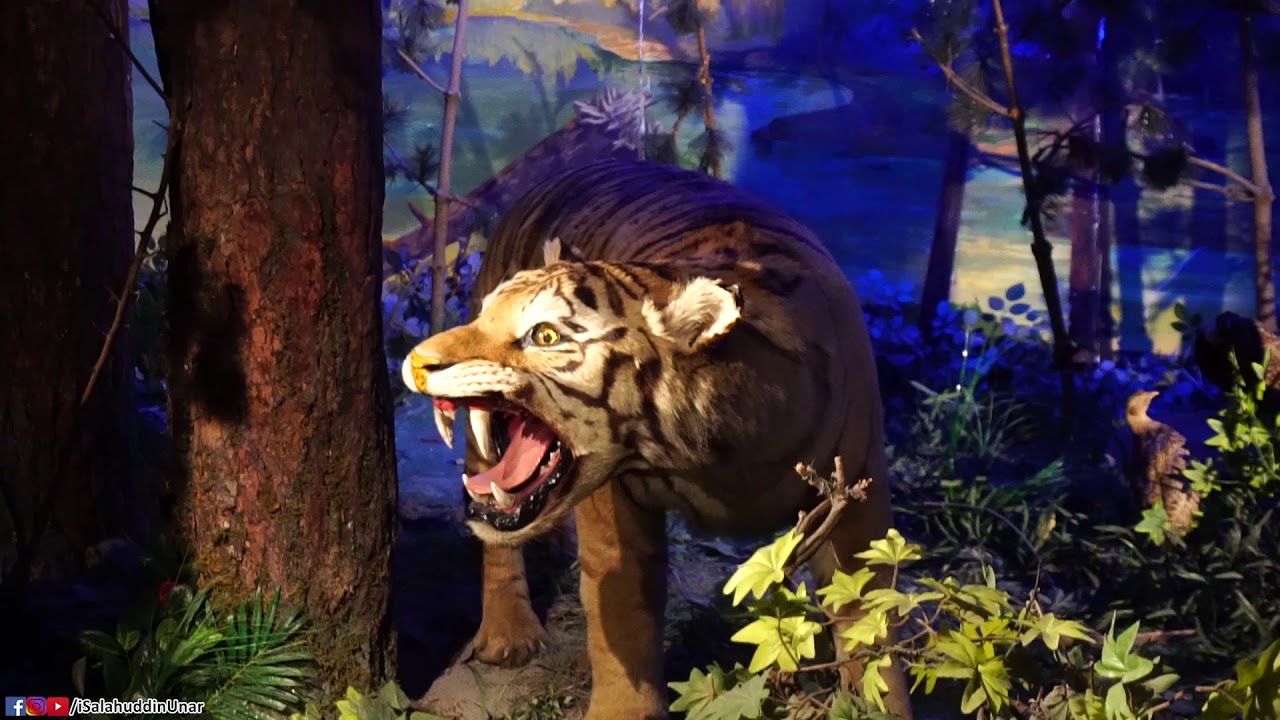 Dalian Natural History Museum - Dalian, China - YouTube