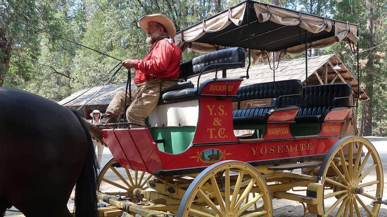 Yosemite Stagecoach Ride Wawona | Travel for Kids - YouTube