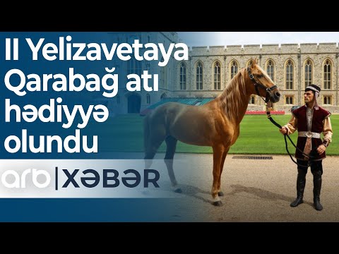 II Yelizavetaya Qarabağ atı hədiyyə olundu – ARB Xəbər