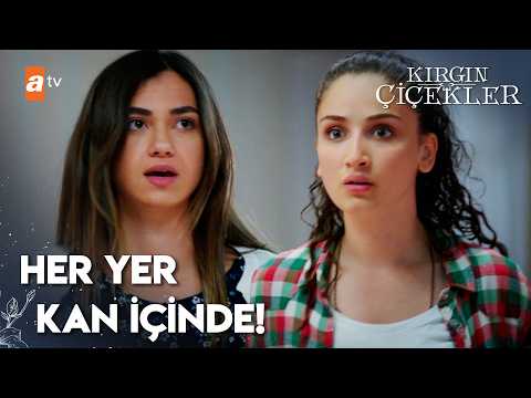 Meral yurtta yaygara çıkarıyor! - Kırgın Çiçekler 4. Bölüm