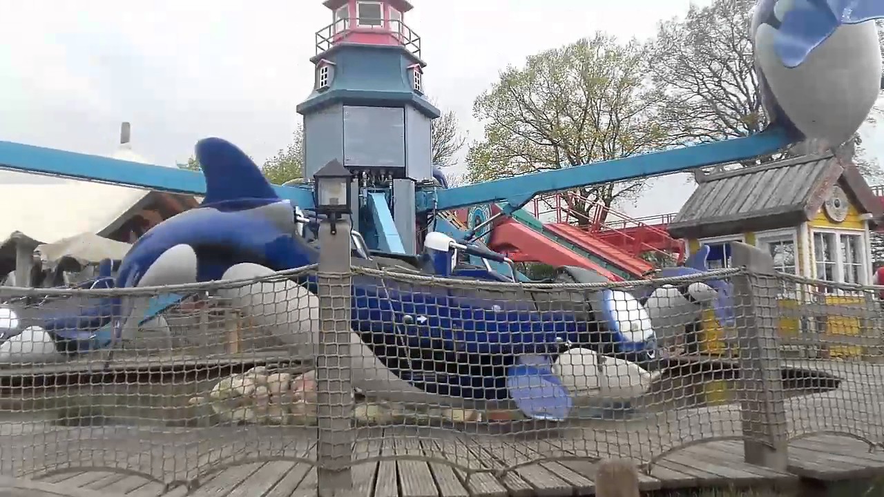 Flying Orcas - YouTube