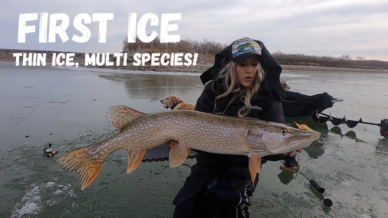 FIRST ICE - Catching Multi Species on CLEAR, THIN ice!!! - YouTube