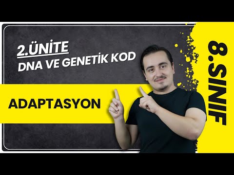 ADAPTASYON  | 8. Sınıf Fen Bilimleri  #LGSTAYFA