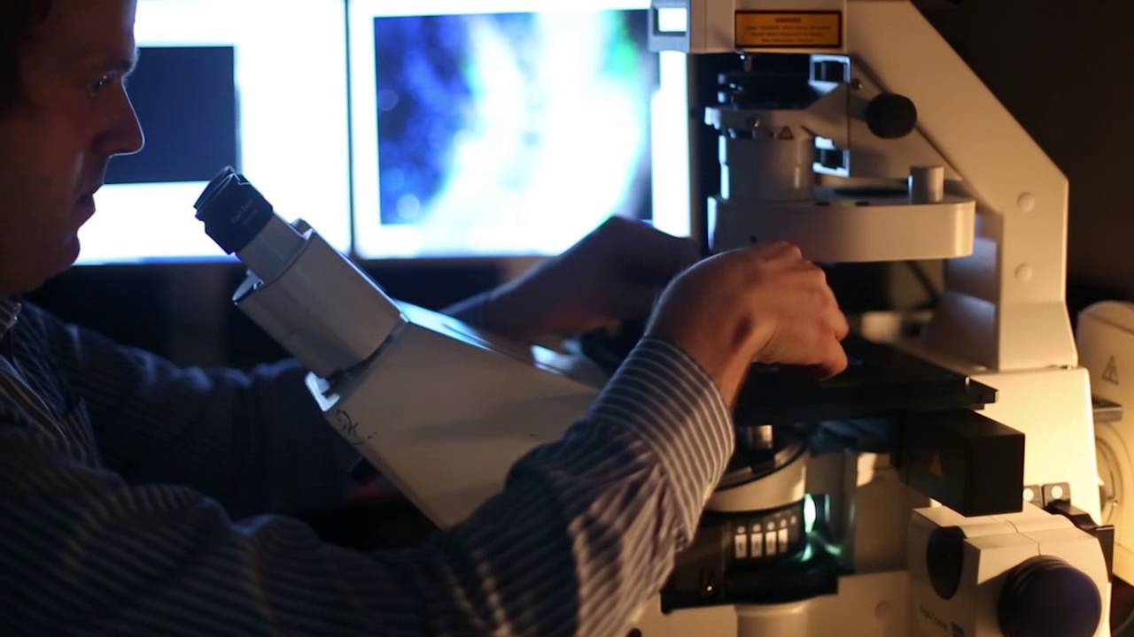 #TomorrowsDiscoveries: ‘Glitch’ that Causes Mental Disorders - Dr. Guo ...