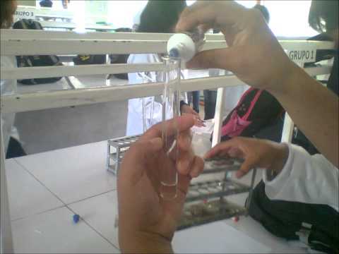 Reacción de Molish - YouTube