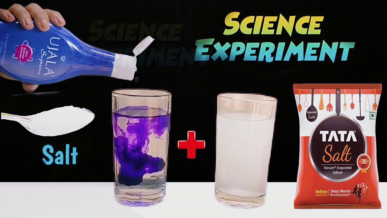 2 Easy Science Experiments | Simple Science Experiments | Best Science ...