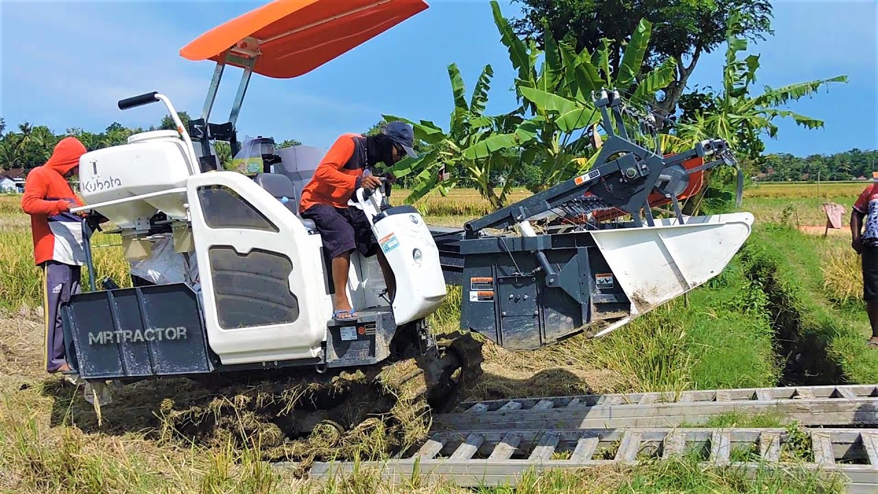 Memanen Padi Dengan Mesin Combine Harvester Kubota DC-03 - YouTube