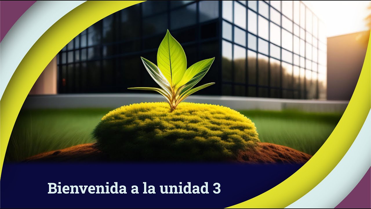 Bienvenida a la Unidad 3 - YouTube