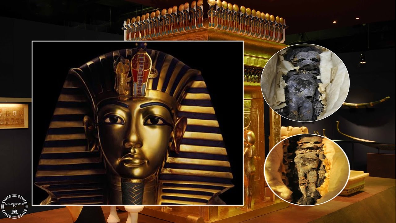 King Tut's Mysterious Alien Children ★★★ - YouTube