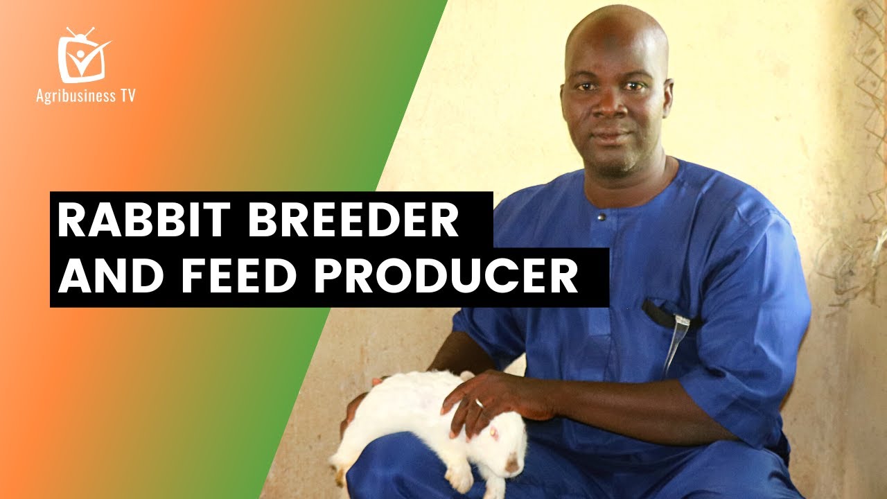 Burkina Faso: Rabbit breeder and feed producer - YouTube