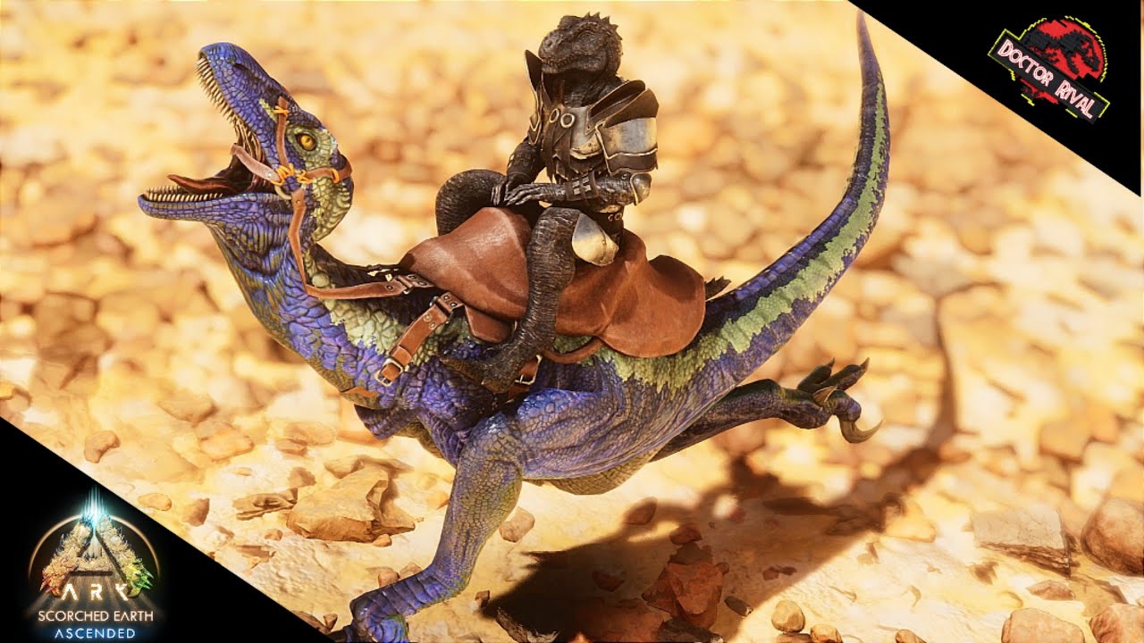 VELOCIRAPTOR full taming || Ark Scorched Earth Ascended - YouTube