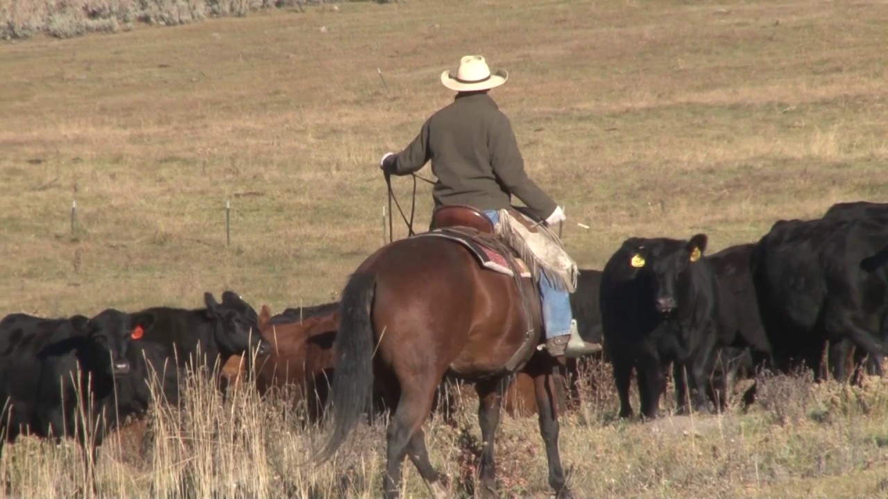 Stewart and Jared Johnson - Johnson Mountain Ranch, Aurora UT - YouTube